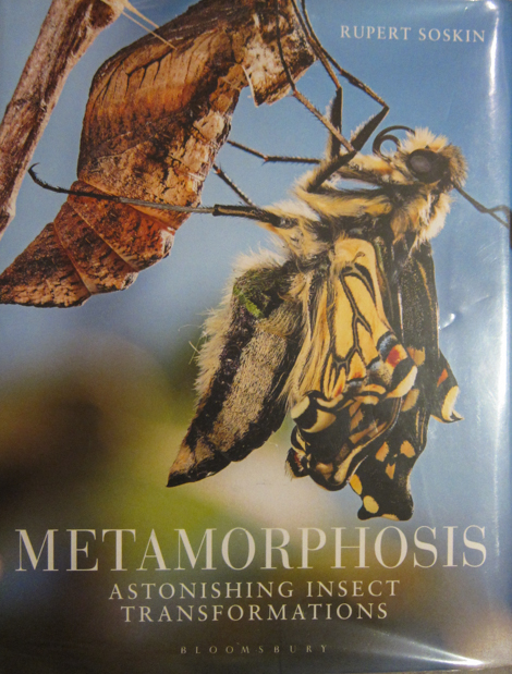 Metamorphosis – March Book Review – Enviro-Mentalist